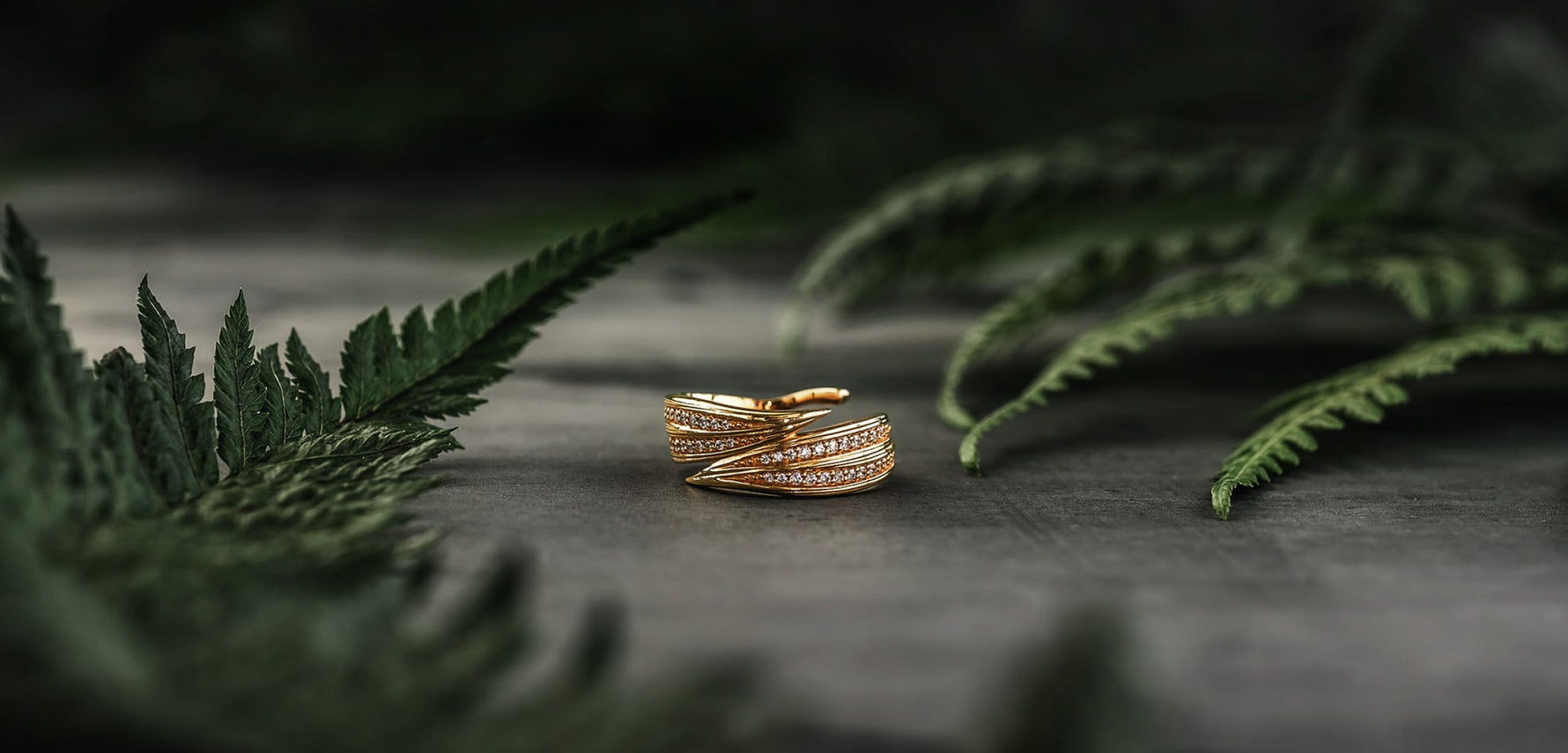 Multi-Award Winning Independent Jewellery Shop | Since. 1982